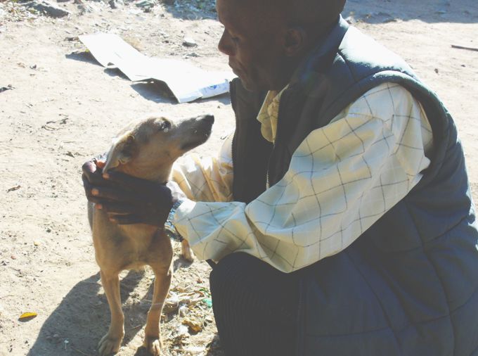 Our Story | Founder History | Embark Dog DNA Test