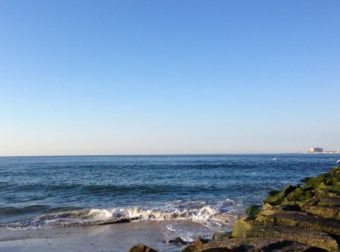 Top Dog-Friendly Beaches on the East Coast - Embarkvet