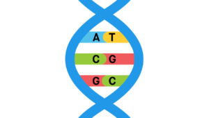 How we test your dog’s DNA - Embarkvet