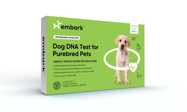 The Science Behind the Embark Dog Age Test - Embarkvet