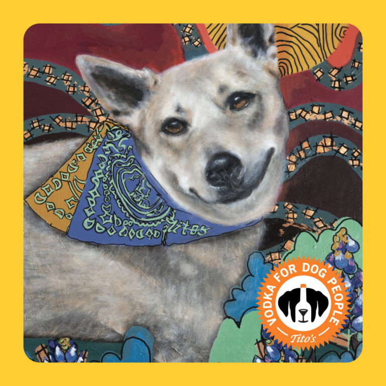 Embark Dog DNA Test: Know your dog. Better.